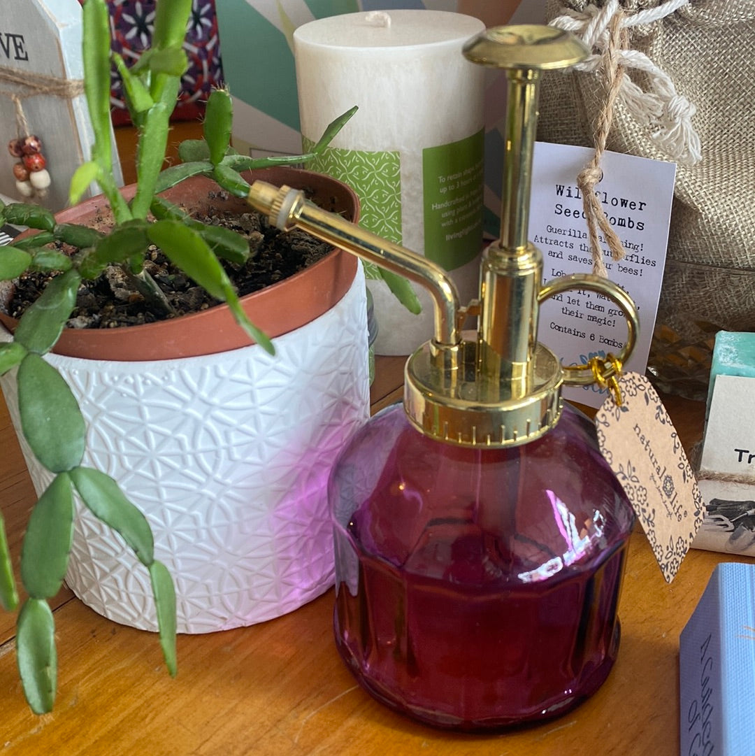 Plant Misters – The Quirky Magpie